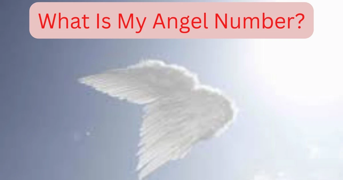 What Is My Angel Number?