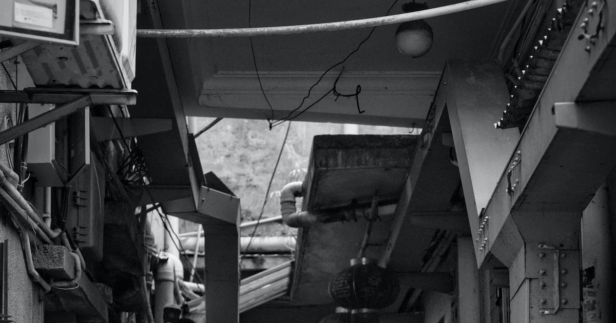 The Right Of Freedom Of Movement Explained With Examples